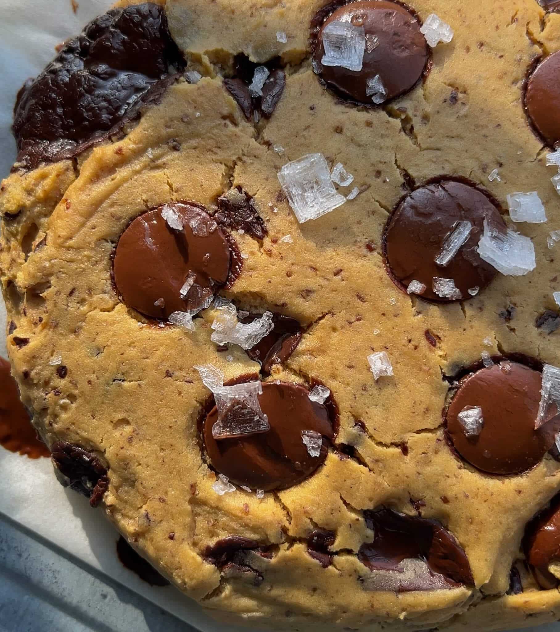 Chocolate Chip Cookie (30g protein) – shivangi kooks